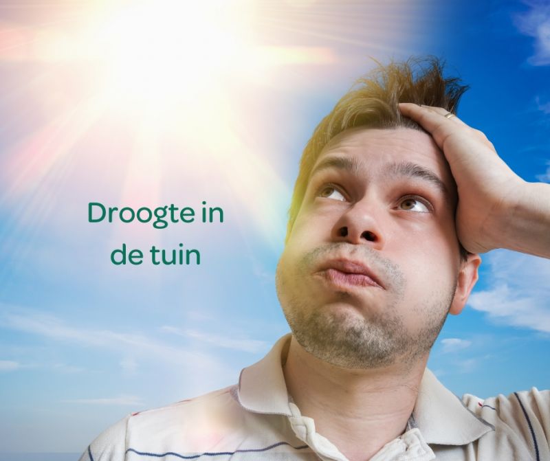 Droogte in de tuin